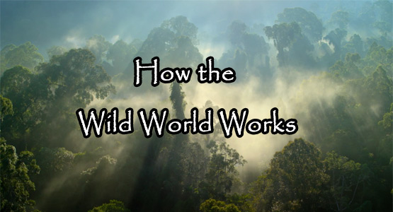 How-the-Wild-World-Works | One Planet Academy || English