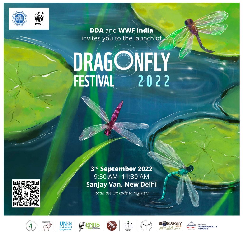 Dragonfly Festival 2022