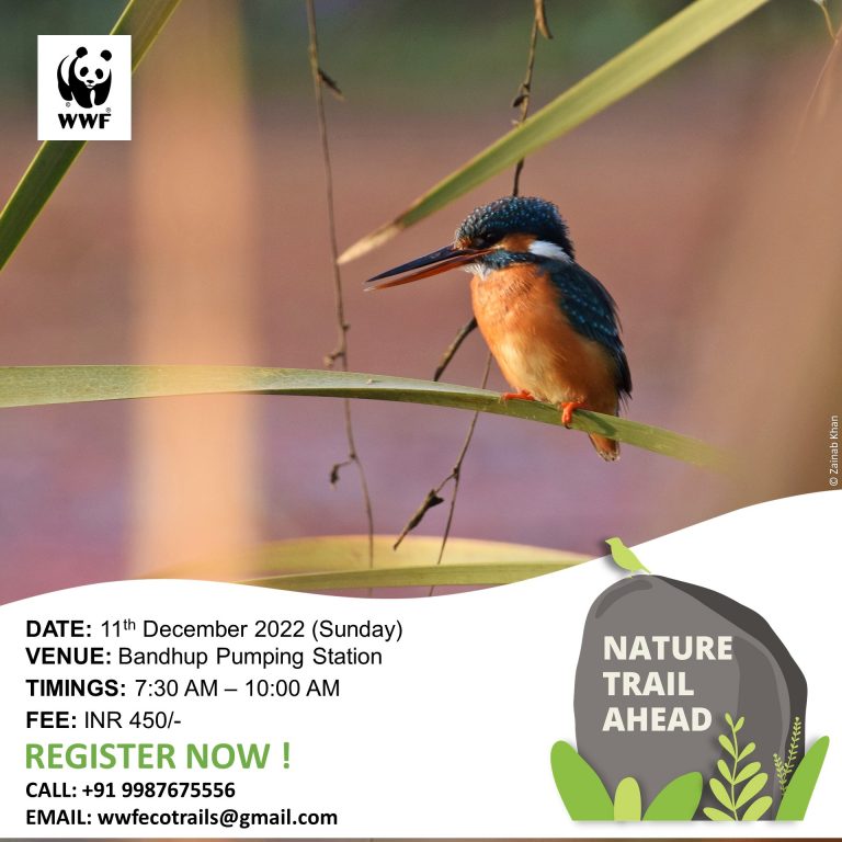 BPS Poster | One Planet Academy || English